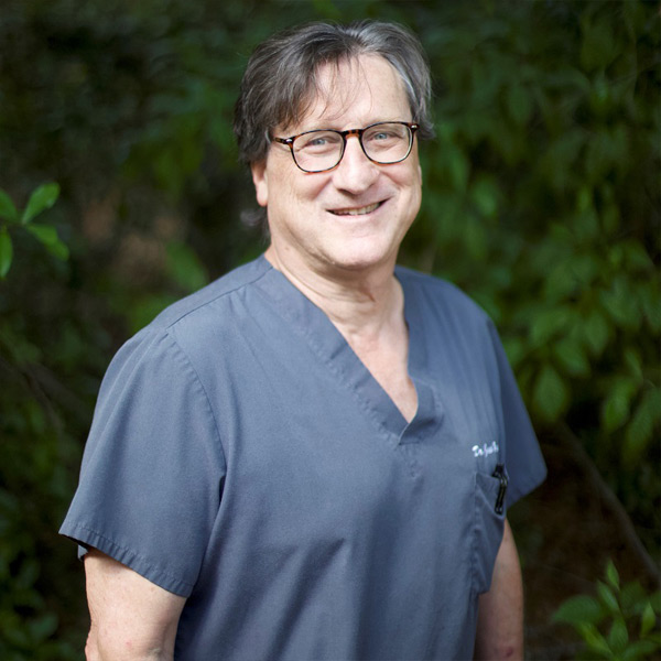 Dr. Nikki Bechtol DC, Naples Chiropractor, Bechtol Chiropractic ...